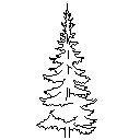 BIMcomponents.com — Pine 1 Elev 16