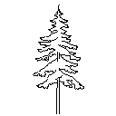 BIMcomponents.com — Pine 2 Elev 16