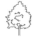 BIMcomponents.com — Tree 1 Elev 16