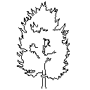 BIMcomponents.com — Tree 2 Elev 16