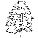 BIMcomponents.com — Tree 3 Elev 16