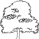 BIMcomponents.com — Tree 4 Elev 16