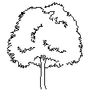 BIMcomponents.com — Tree 5 Elev 16