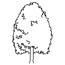 BIMcomponents.com — Tree 6 Elev 16