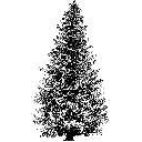 BIMcomponents.com — Pine Elevation 17