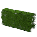 BIMcomponents.com — Hedge Element 3D Linear 17