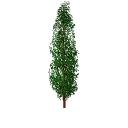 BIMcomponents.com — Tree Deciduous 08 17