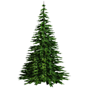 BIMcomponents.com — Tree Pine 3D 17