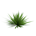 BIMcomponents.com — Grass Model 18