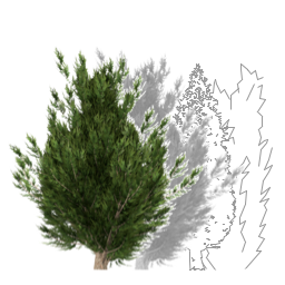 BIMcomponents.com — Evergreens 19