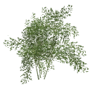 BIMcomponents.com — Bush3_GWL