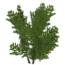 BIMcomponents.com — Bush_GWL