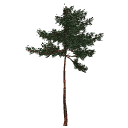 BIMcomponents.com — Fir_GWL